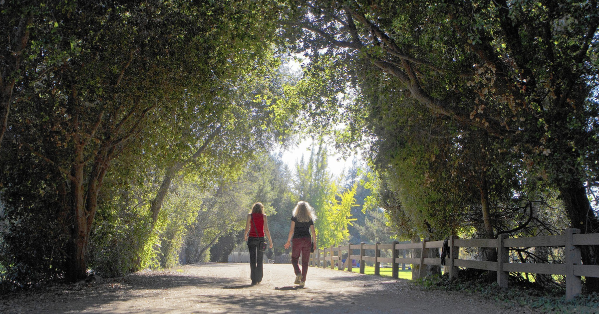 L.A. Walks: Wilson Golf Course in Griffith Park - Los Angeles Times